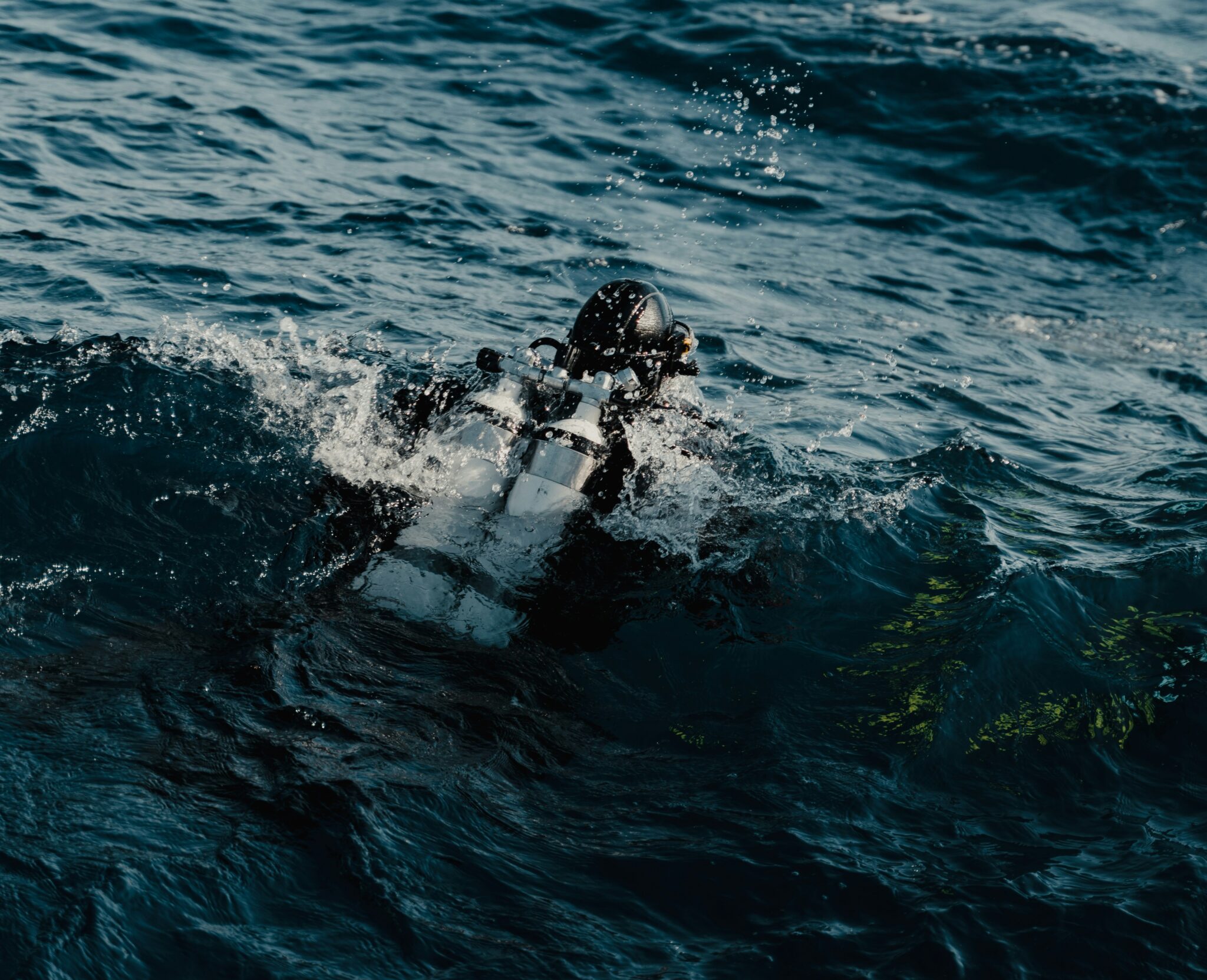 Movie Orca: A Deep Dive into the Classic Killer Whale Film - Movieruzel